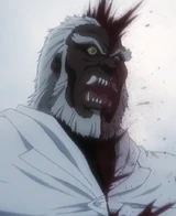 Jerome Guizbatt | Bleach Wiki | Fandom