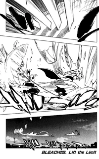 Chapitre 209 | Bleach Wiki | Fandom