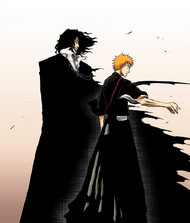 Bankai Training | Bleach Wiki | Fandom