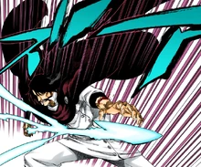 Royd Lloyd | Bleach Wiki | Fandom