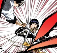 Ggio Vega/Image Gallery | Bleach Wiki | Fandom