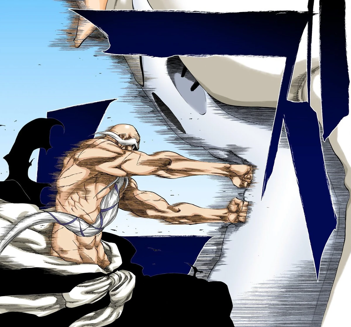 Sōkotsu/Image Gallery | Bleach Wiki | Fandom