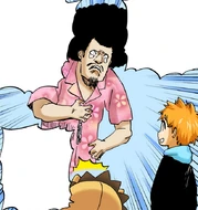 Kazui Kurosaki/Image Gallery | Bleach Wiki | Fandom