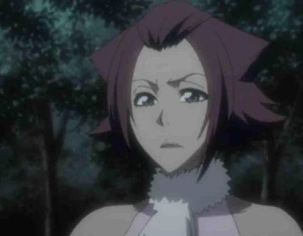 Haineko (espíritu) | Bleach Wiki | Fandom