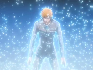 Cursed Parakeet | Bleach Wiki | Fandom