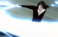 Zangetsu Becomes an Enemy | Bleach Wiki | Fandom