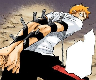 Kin/Image Gallery | Bleach Wiki | Fandom