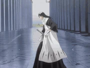 Byakuya Kuchiki | Bleach Wiki | Fandom