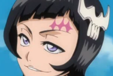 bleach shinigami illustrated picture book all