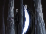 Forest of Menos! The Search for the Missing Rukia | Bleach Wiki | Fandom