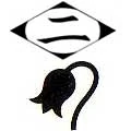 Bleach Wiki:Segunda División | Bleach Wiki | Fandom