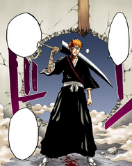 Renji's Confrontation | Bleach Wiki | Fandom