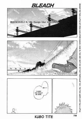 Chapitre 25.2 | Bleach Wiki | Fandom