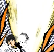 Sōkatsui/Image Gallery | Bleach Wiki | Fandom