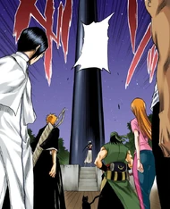 The Seireitei Infiltration | Bleach Wiki | Fandom