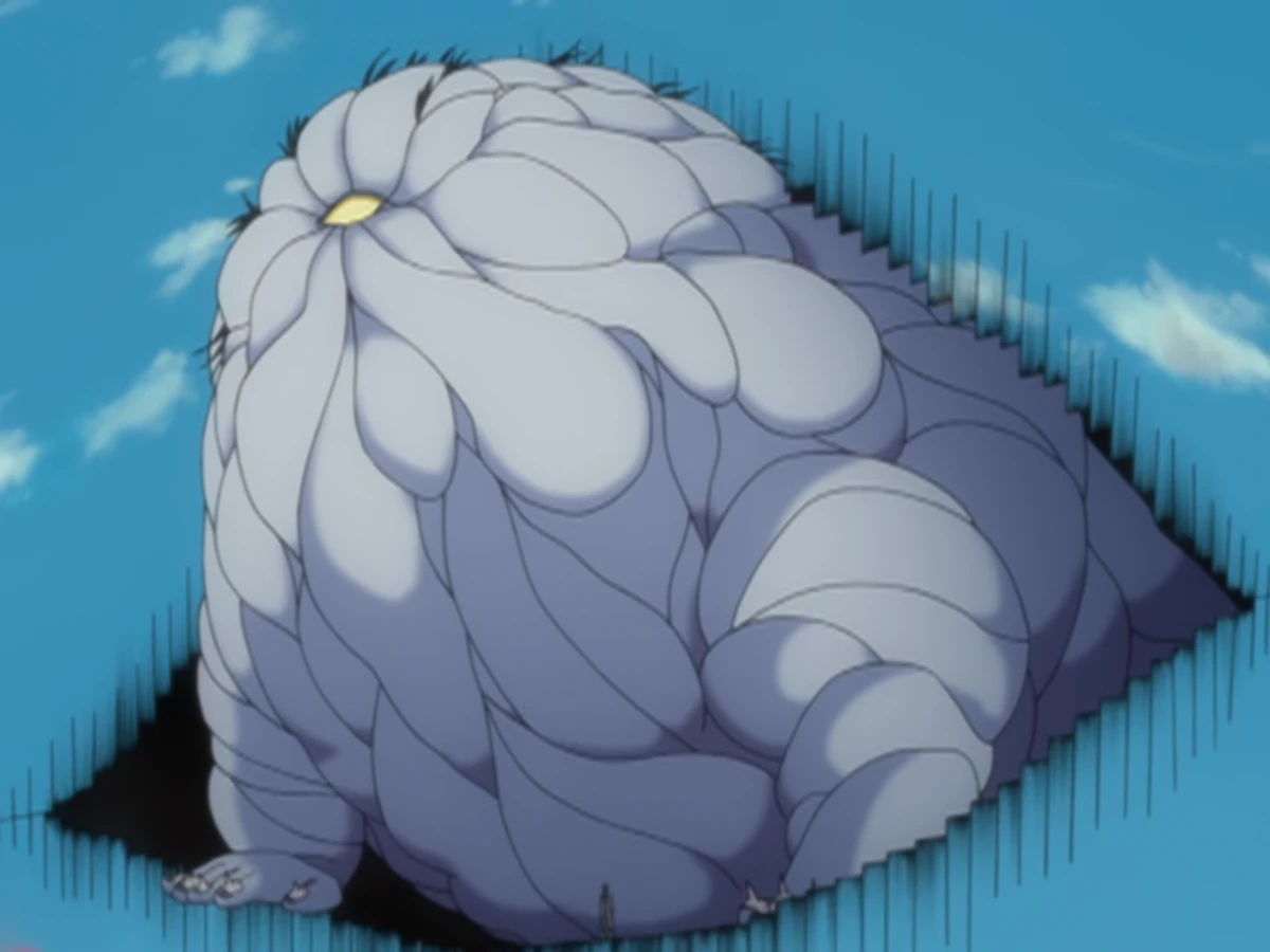 Hooleer | Bleach Wiki | Fandom