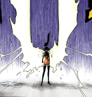 Yoruichi Shihōin | Bleach Wiki | Fandom