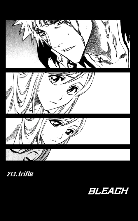 Chapitre 213 | Bleach Wiki | Fandom