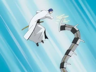 Patros's Rebellion | Bleach Wiki | Fandom