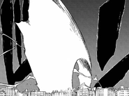 Raikōhō | Bleach Wiki | Fandom