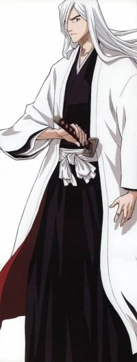 Jūshirō Ukitake | Bleach Wiki | Fandom