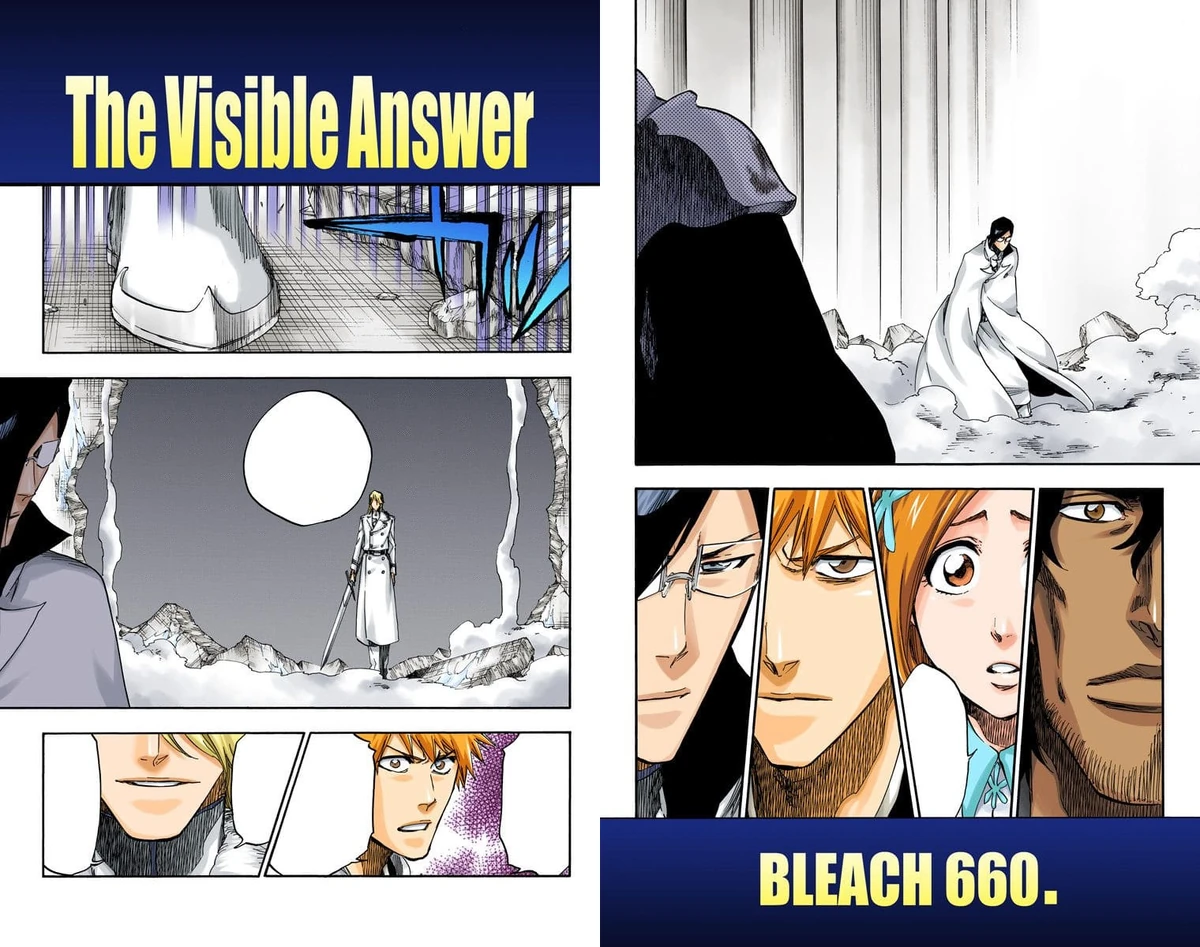 660. The Visible Answer | Bleach Wiki | Fandom