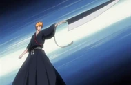 Ichigo Kurosaki vs. Gegetsuburi | Bleach Wiki | Fandom