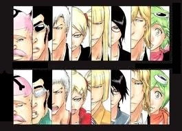 Vaizard | Bleach-wiki | Fandom