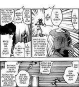 Pesche Guatiche/Galería | Bleach Wiki | Fandom