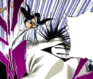 Kenpachi Zaraki vs. Nnoitra Gilga | Bleach Wiki | Fandom