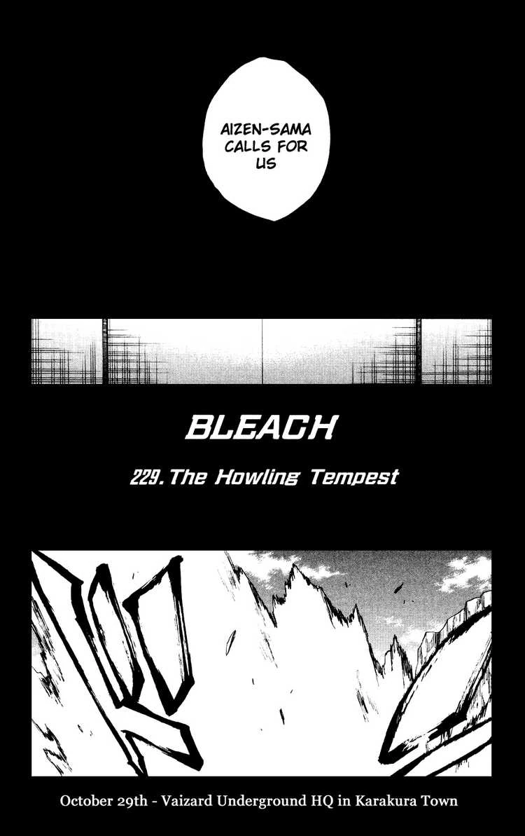 Chapitre 229 | Bleach Wiki | Fandom