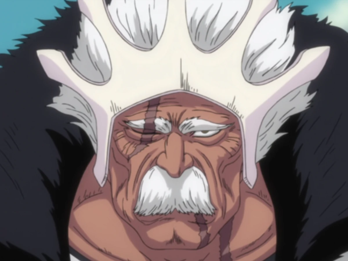 Baraggan Louisenbairn | Bleach Wiki | Fandom