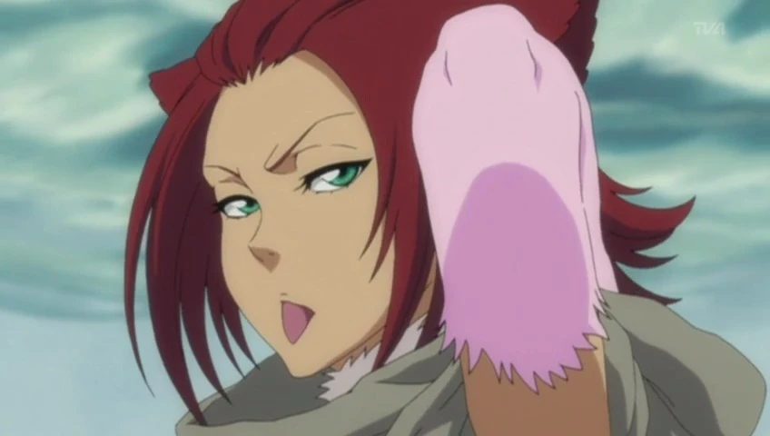 Haineko (Espírito) | Bleach Wiki | Fandom