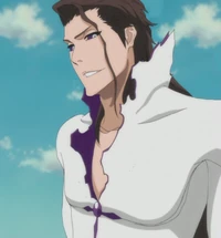 Sōsuke Aizen/Poderes y Habilidades | Bleach Wiki | Fandom