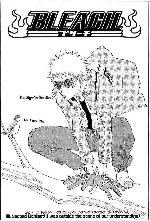 Chapitre 30 | Bleach Wiki | Fandom