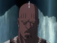 Zommari Rureaux/Image Gallery | Bleach Wiki | Fandom