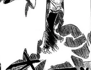 Raikōhō | Bleach Wiki | Fandom