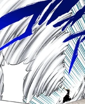 Tenran/Image Gallery | Bleach Wiki | Fandom