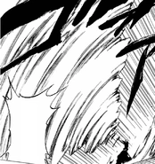 Tenran | Bleach Wiki | Fandom