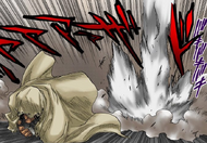 The Cursed Parakeet | Bleach Wiki | Fandom