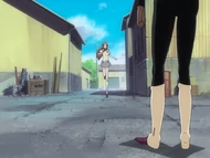 Visored Training | Bleach Wiki | Fandom