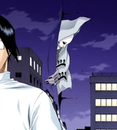 The Menos Grande/Image Gallery | Bleach Wiki | Fandom