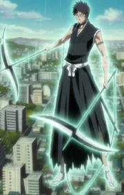 Shūhei Hisagi | Bleach Wiki | Fandom