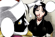 Uryū Ishida vs. Mayuri Kurotsuchi | Bleach Wiki | Fandom