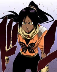 Yoruichi Shihōin vs. Suì-Fēng | Bleach Wiki | Fandom