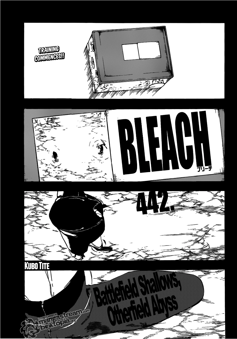 Chapitre 442 | Bleach Wiki | Fandom