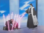 Byakuya Kuchiki | Bleach Wiki | Fandom