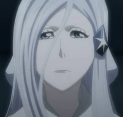 Bleach Sode No Shirayuki And Senbonzakura
