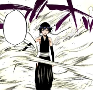 Yoruichi Shihōin vs. Suì-Fēng | Bleach Wiki | Fandom