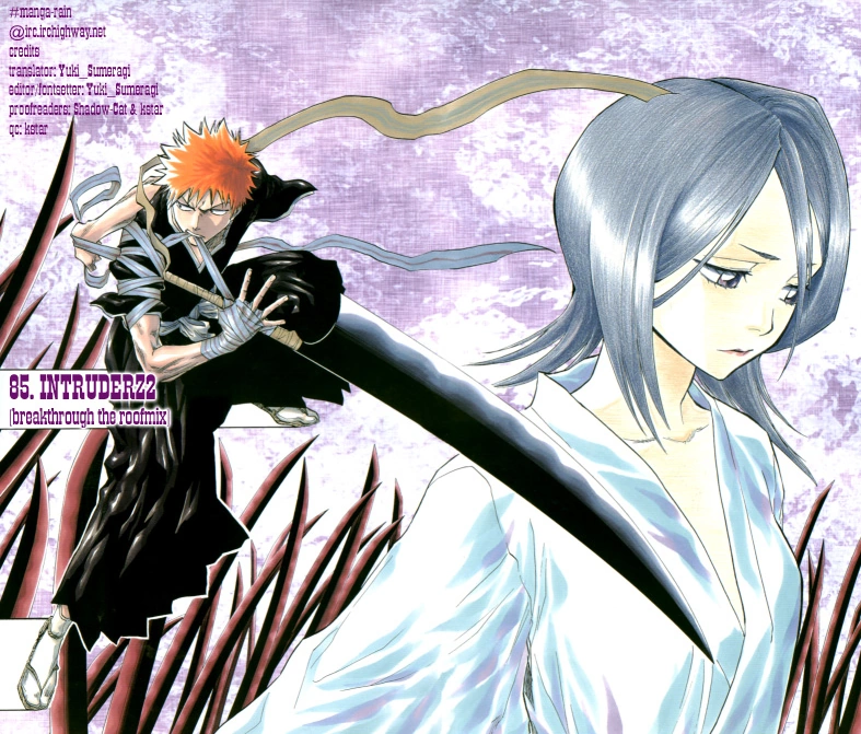 Chapitre 85 | Bleach Wiki | Fandom